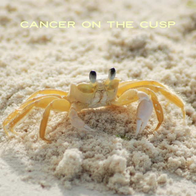 cancer – starsmoonandsun